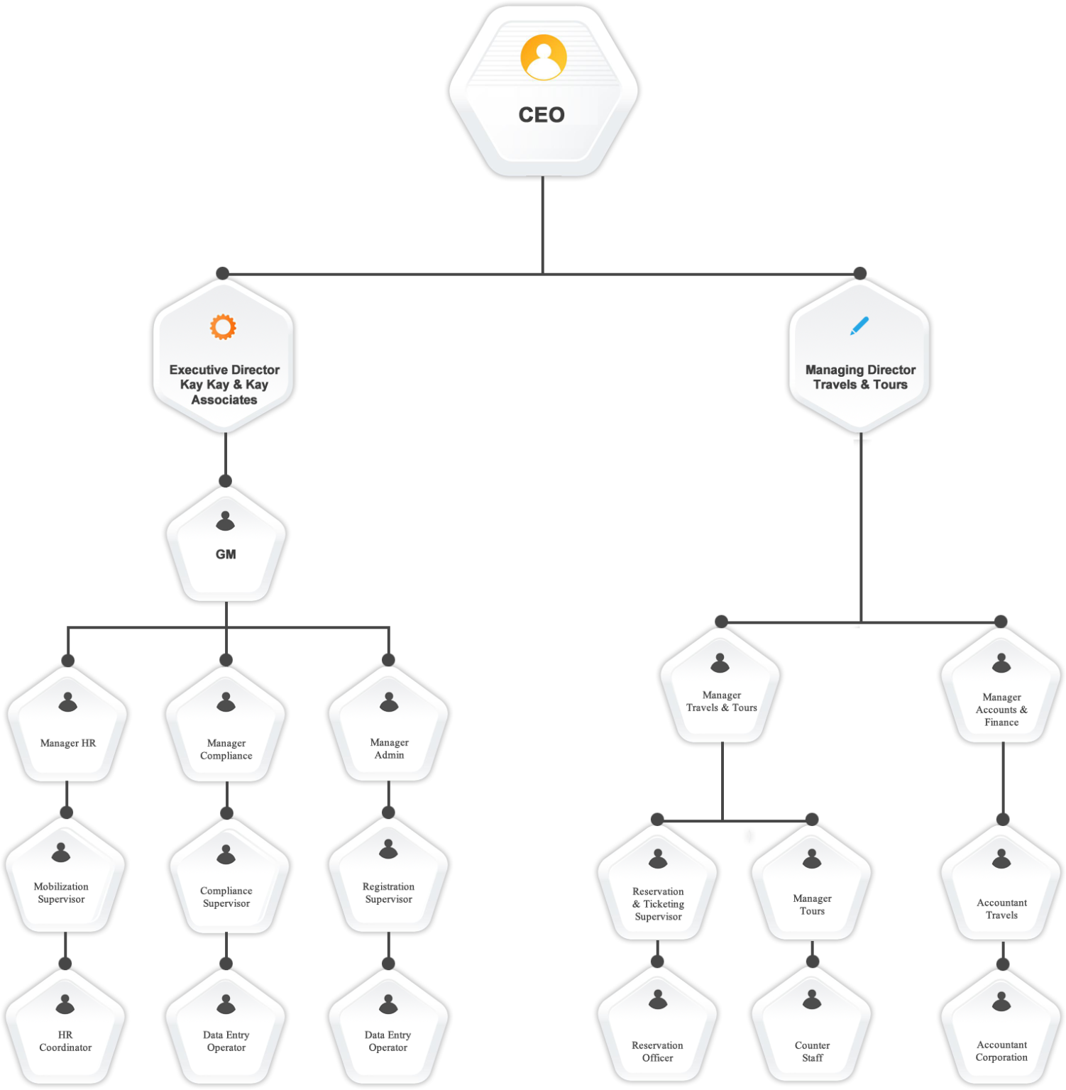 Organization Chart – Kay Kay & Kay Associates